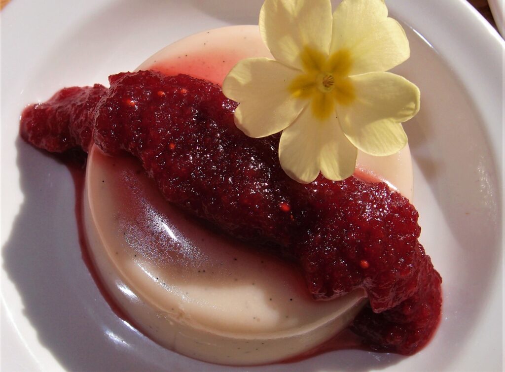Panna cotta végétale au coulis de canneberge – Tim Lipouz