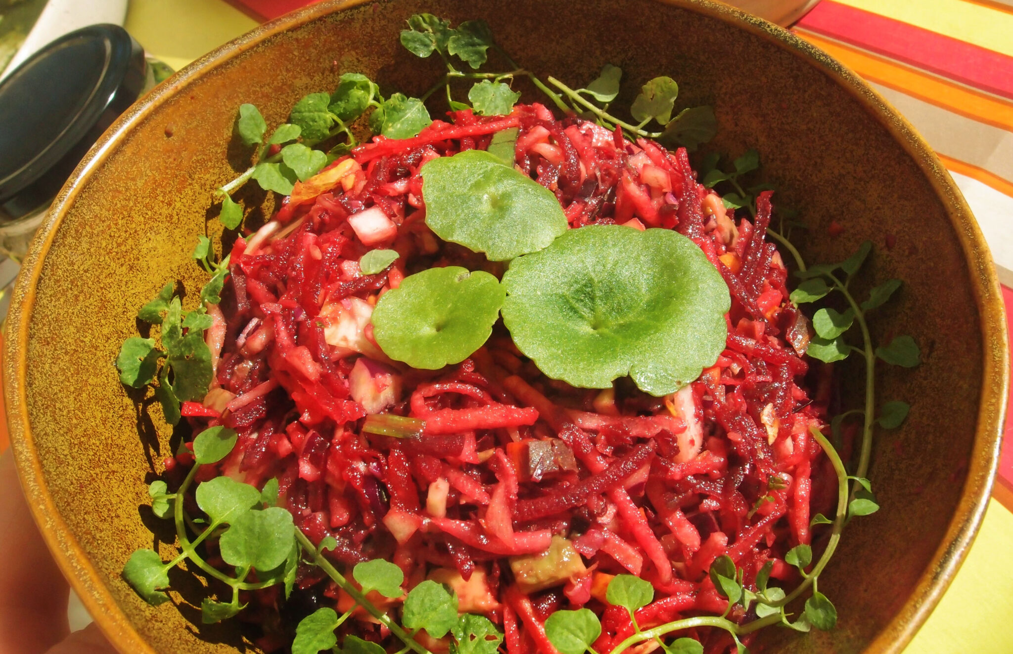 Salade printanière aux nombrils de Vénus – Tim Lipouz